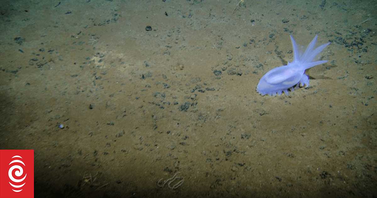 Scientists say they found oxygen where it shouldn't be. Now hunt is on ...
