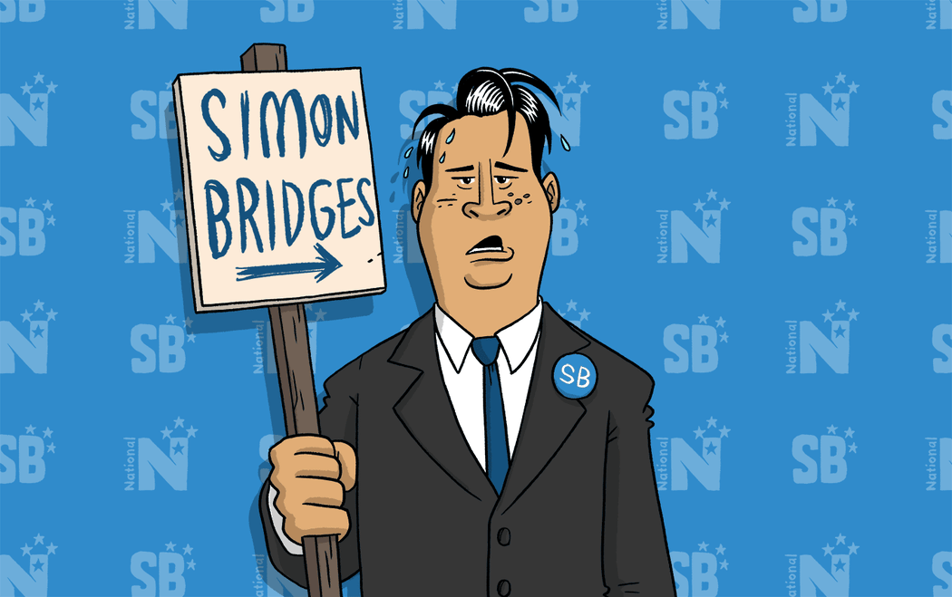 Toby & Toby: The National leader wannabes, digested | RNZ News