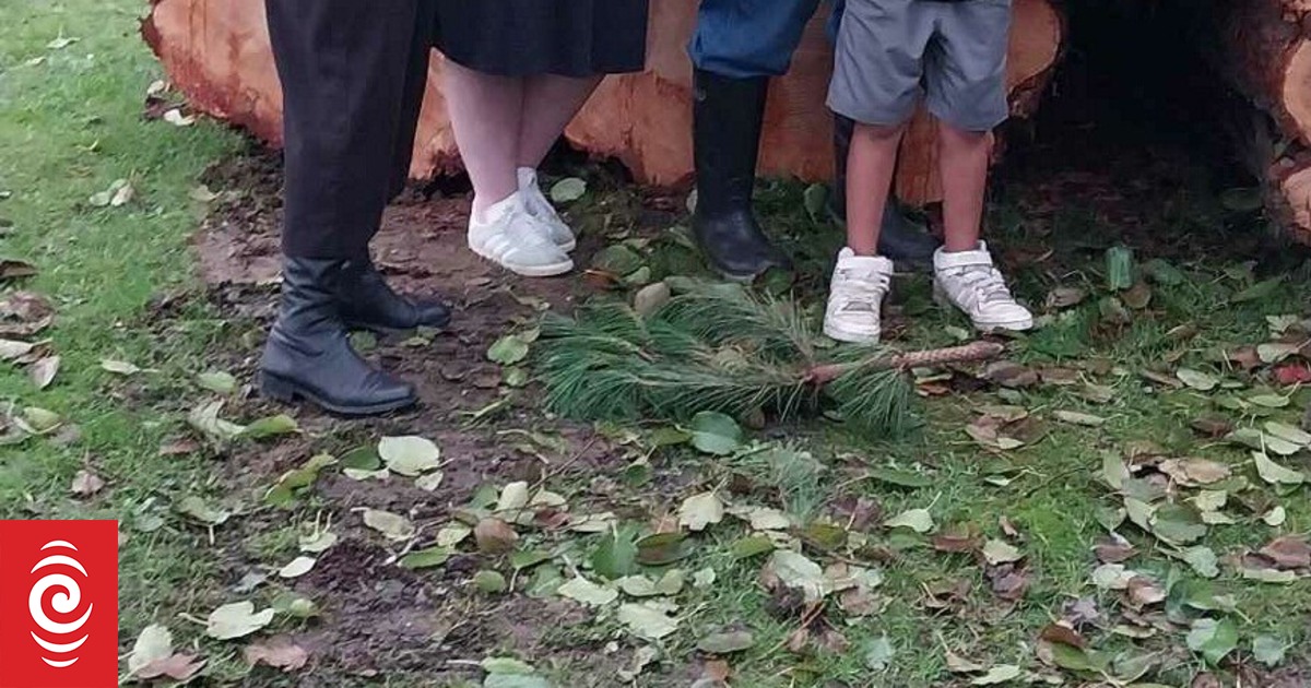 Master Carver sharing traditional skills with youngsters | RNZ