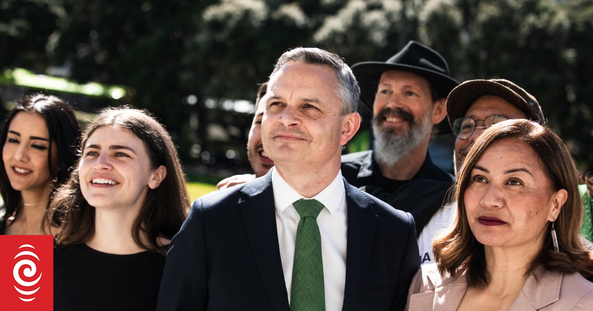 Watch: New Green MPs, co-leaders speak at Parliament | RNZ News