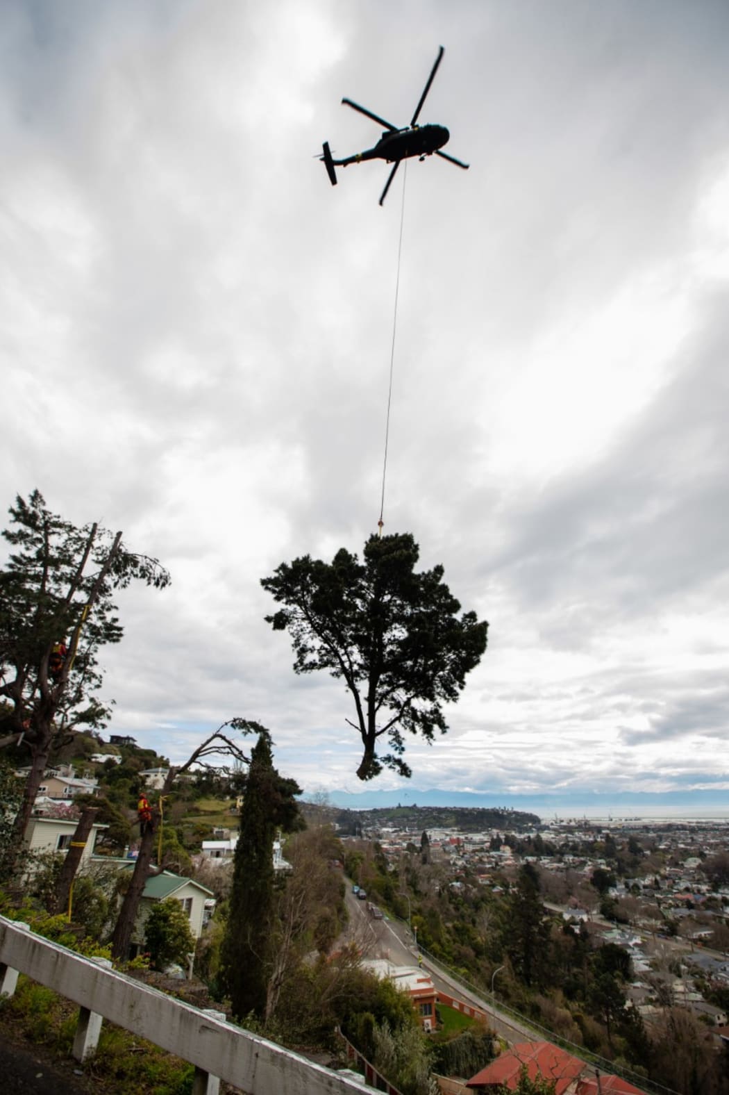 Black hawk operation in Nelson over the coming days | RNZ