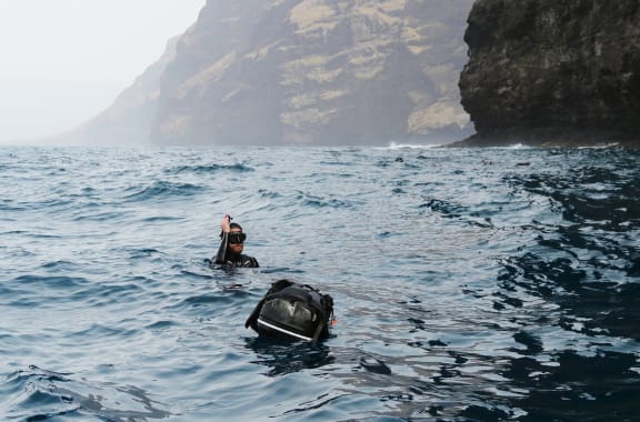 Sea Trekking | A Gallery from This Way Up | RNZ National