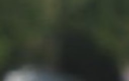 Critter of the Week | RNZ