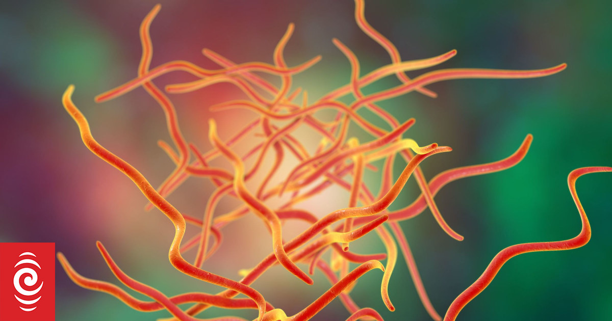 Parasite's threat to native plants greater than first thought | RNZ News