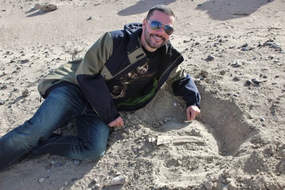 Weird Dinosaurs | A Gallery from Afternoons | RNZ National