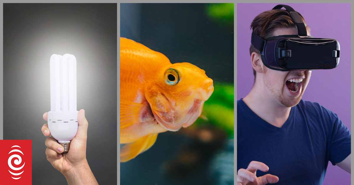 Science correspondent Dr Siouxsie Wiles | RNZ