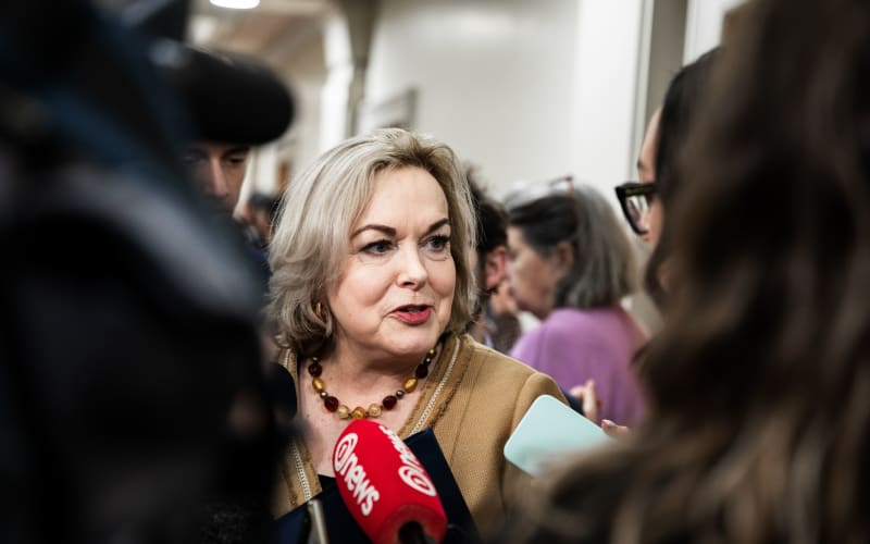 Drones among NZ-made tech to aid Defence Force, Judith Collins says | RNZ