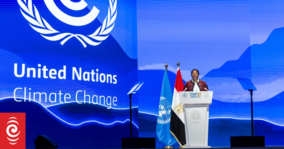 Pacific COP27 news in brief for November 17 | RNZ News