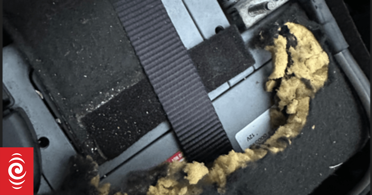 Mechanics report spike in cases of rats chewing through electronics of ...