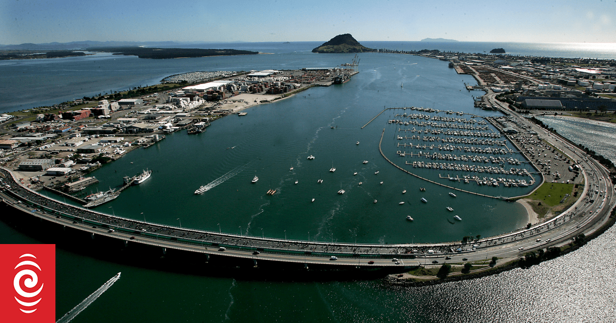 ‘Disaster’ - Tauranga’s marine precinct sale $4m below value | RNZ News