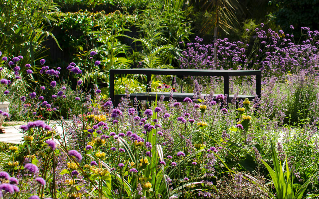 Caring for your garden during an El Niño summer | RNZ