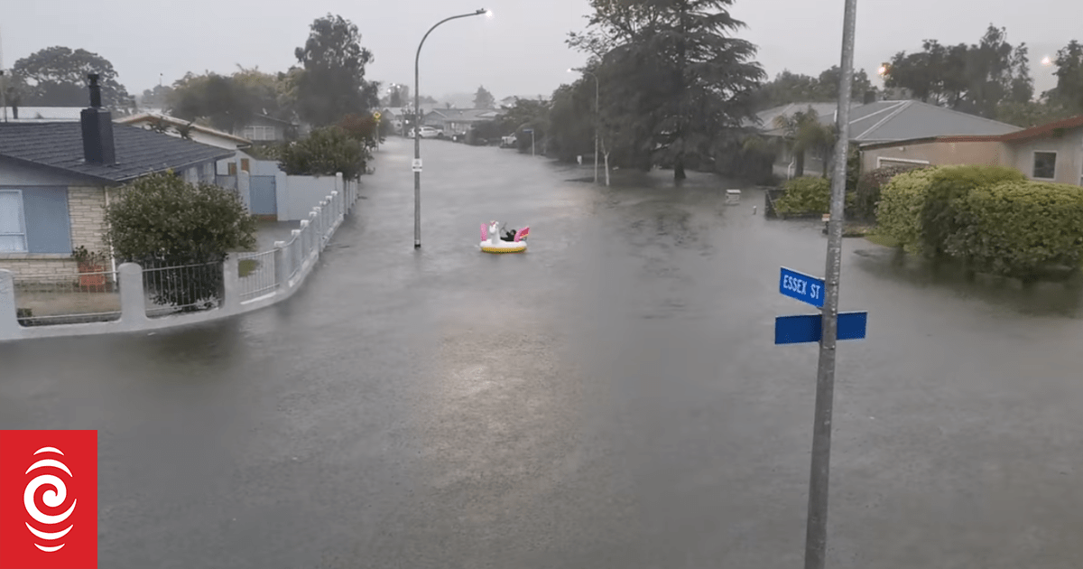Napier flooding: Councillor on flooding damage | RNZ