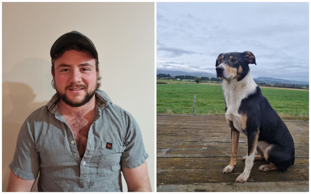 Southland farmer and his dog to represent NZ | RNZ News