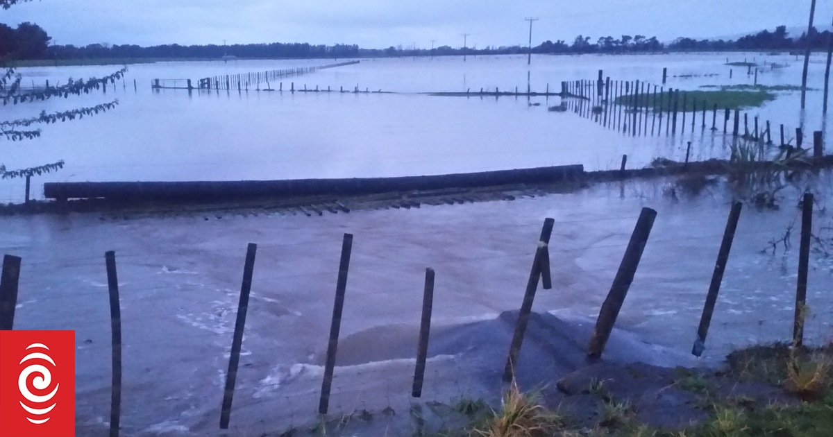 Freezing Friday: What you need to know | RNZ News