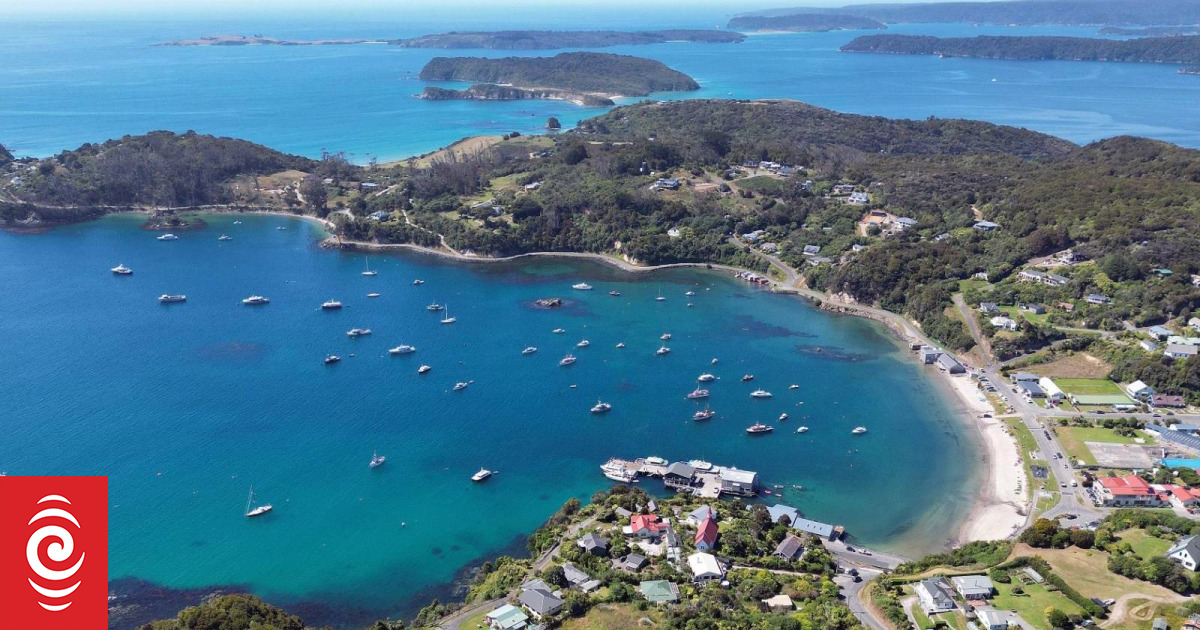 Hidden mouse population could be devastating for Rakiura-Stewart Island ...