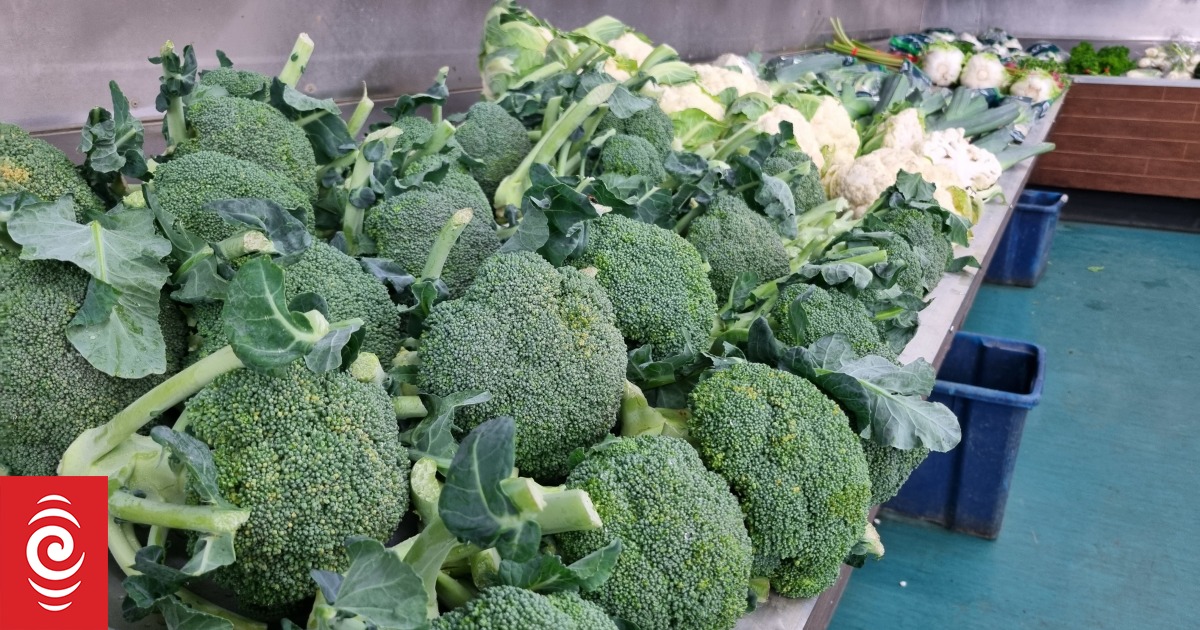 Fruit and Vege Report with Glenn Forsyth | RNZ