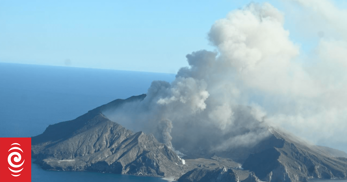 Whakaari appeal day 2: Island owners say responsibility for the work ...