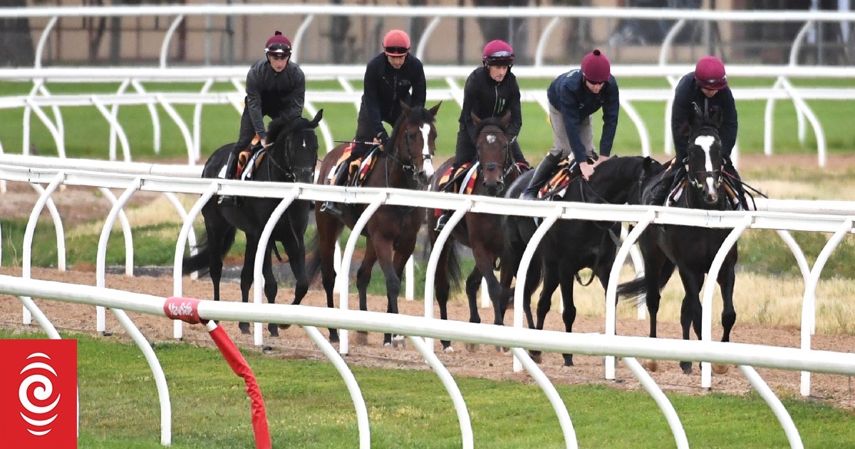 NZ jockeys and horses ensure Kiwi interest in Melbourne Cup | RNZ News