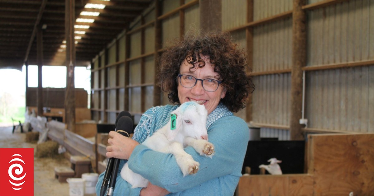 23 Years of Country Life - farewell to Carol Stiles | RNZ