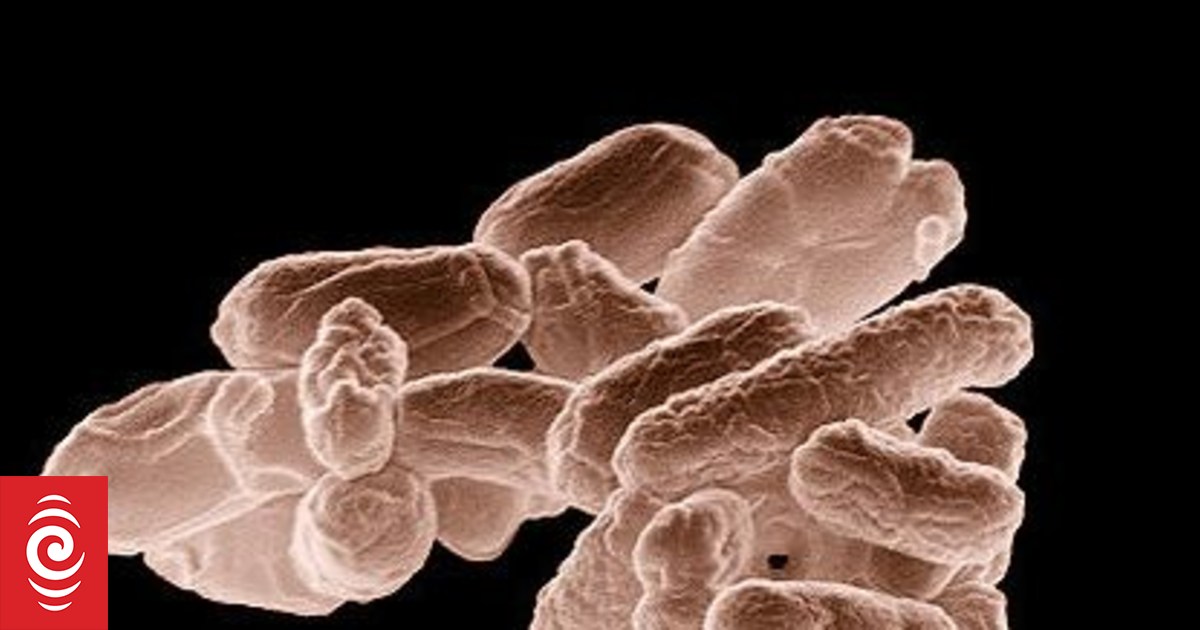 E Coli found in Palmerston North drinking water | RNZ News