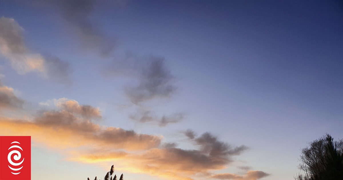 Welcome to Level Two | RNZ