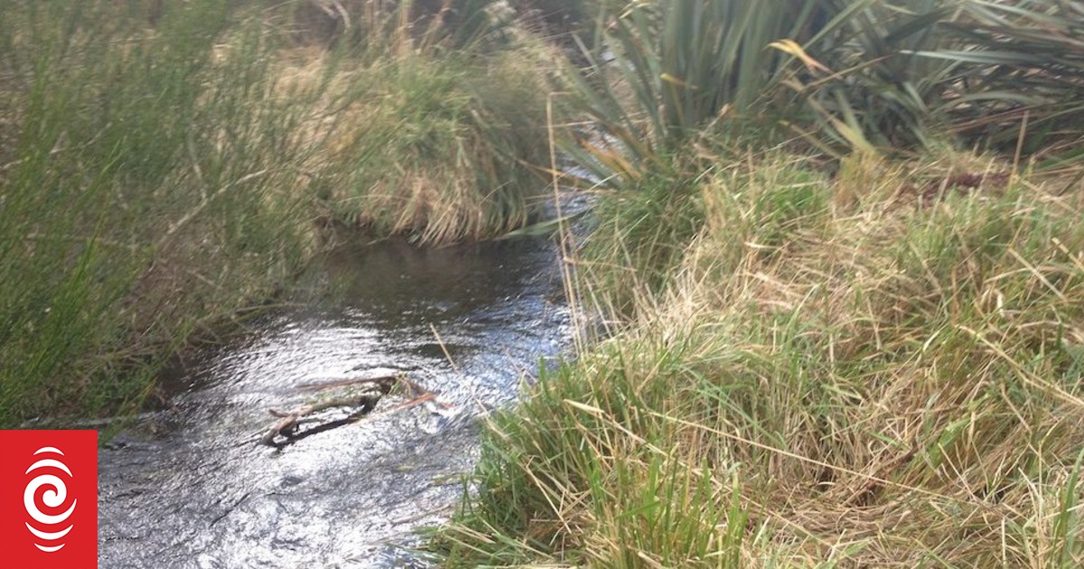 Ngati Rangi keeps watch on Waiouru stream | RNZ News