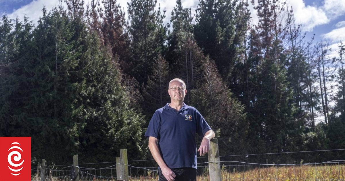 Tuatapere tree killer granted diversion | RNZ News