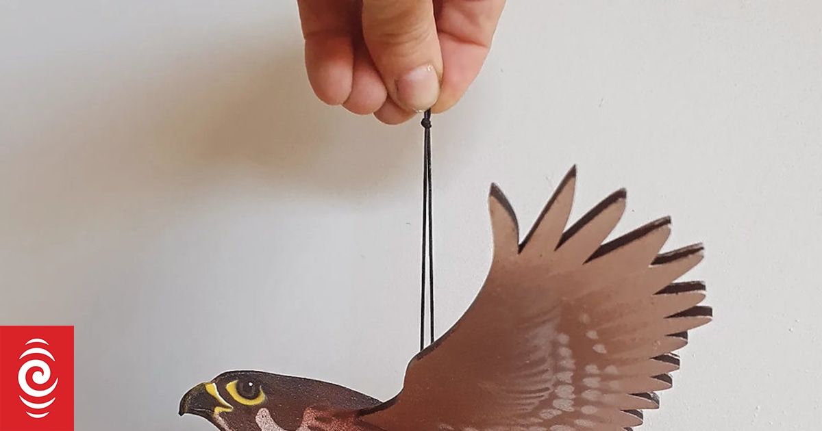 Made in NZ: Flap! Toys | RNZ