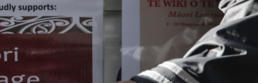 Te Reo Māori: the Te Wero debate | RNZ