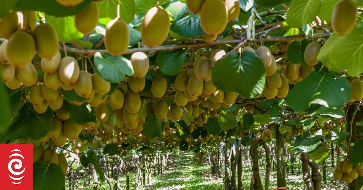 Environmental Protection Authority holds hearings on Hi-Cane usage ...