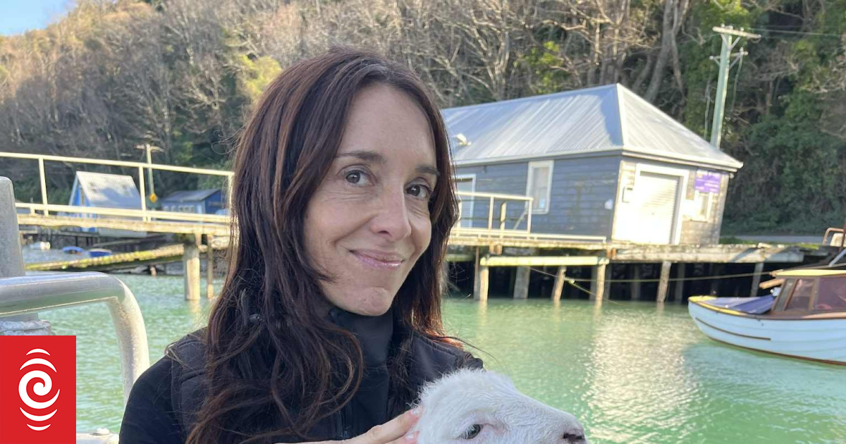 Find out why a little lamb took a ride on the Otago ferry | RNZ