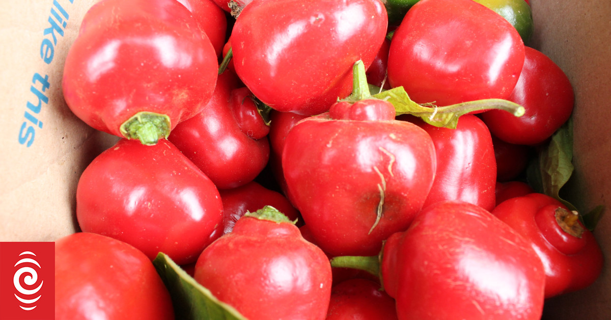 Swapping crops and building communities... | RNZ