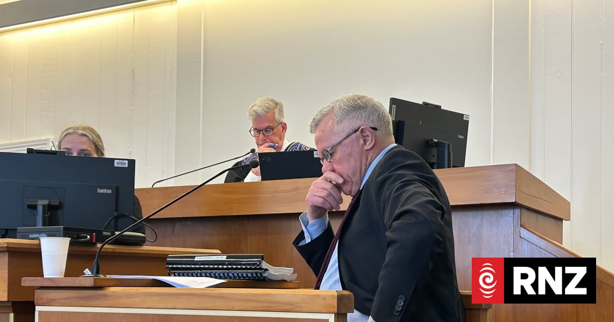 Buller Mayor Jamie Cleine in defamation case aimed to 'name and shame ...
