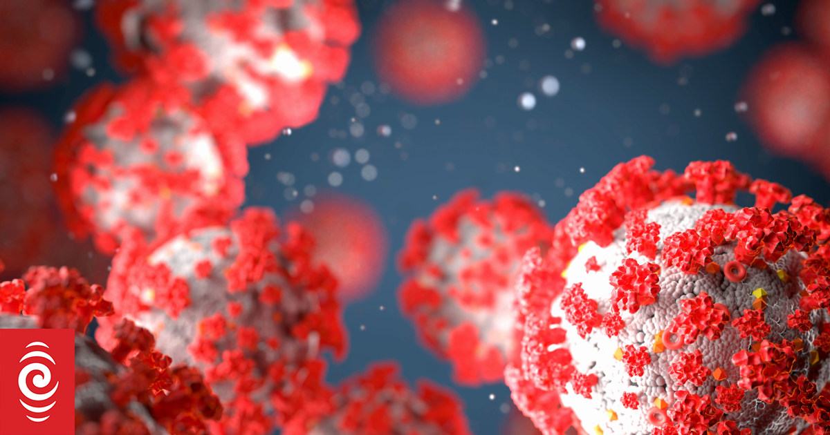 Covid-19 update: Omicron case confirmed in Palmerston North | RNZ News