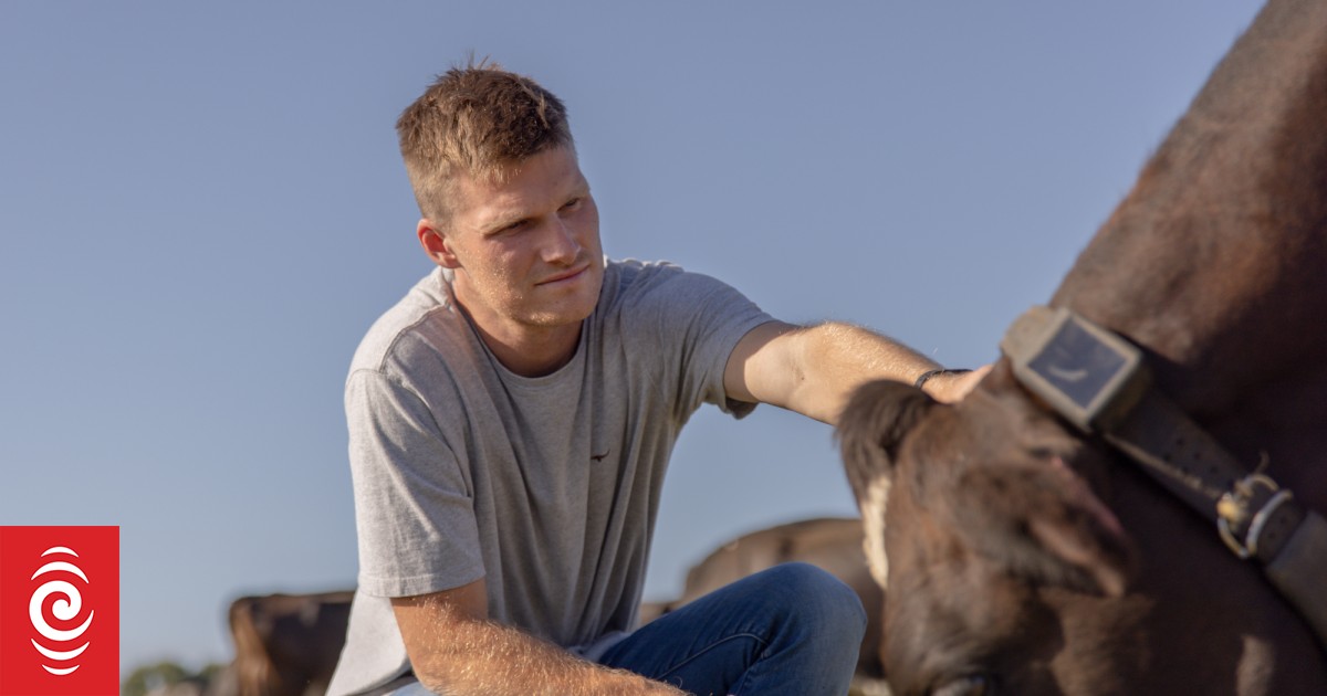 Efficiency a key priority in expansion of agri-tech company Halter ...