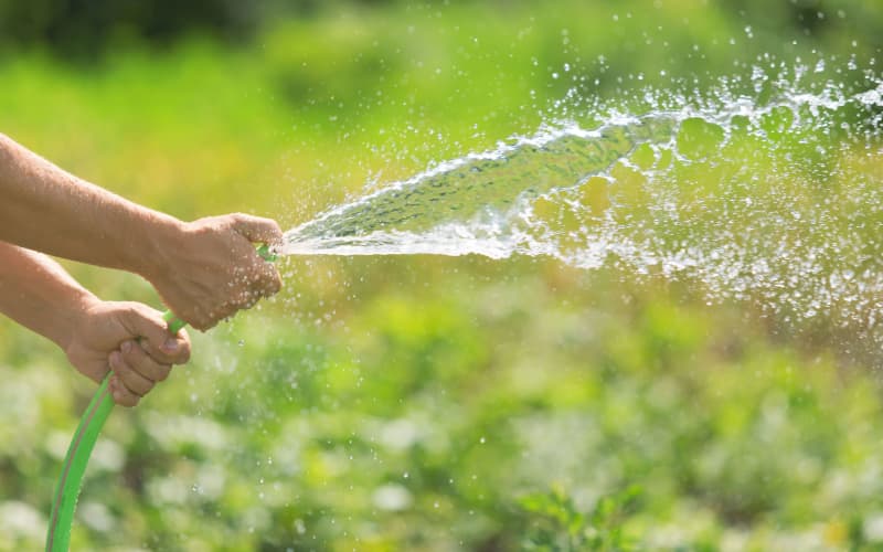 Hawke's Bay water restrictions imposed | RNZ