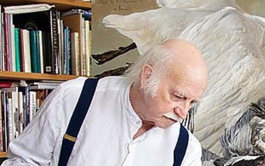 The Birds of Ray Ching | RNZ