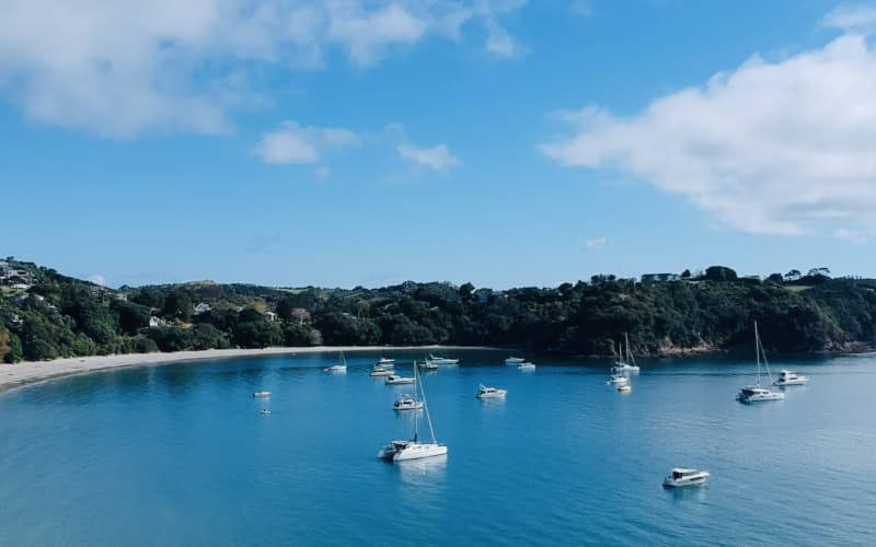 New Waiheke Island ferry service promises cheaper fares | RNZ