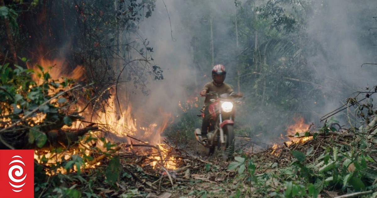 Alex Pritz: how an Indigenous tribe is defending its land in Brazil | RNZ