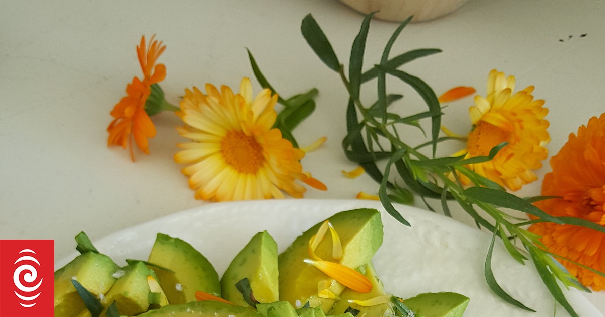 Julie Biuso has five recipes to use up excess produce | RNZ
