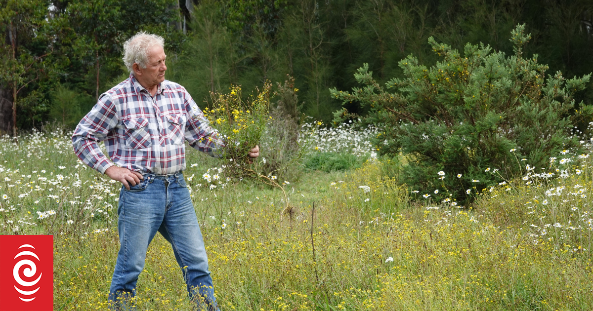 'I've had nightmares' - petition calls for govt action to stop toxic ...