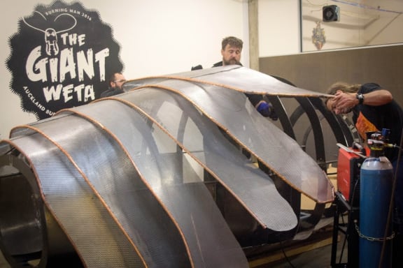 Giant weta at Burning Man | RNZ