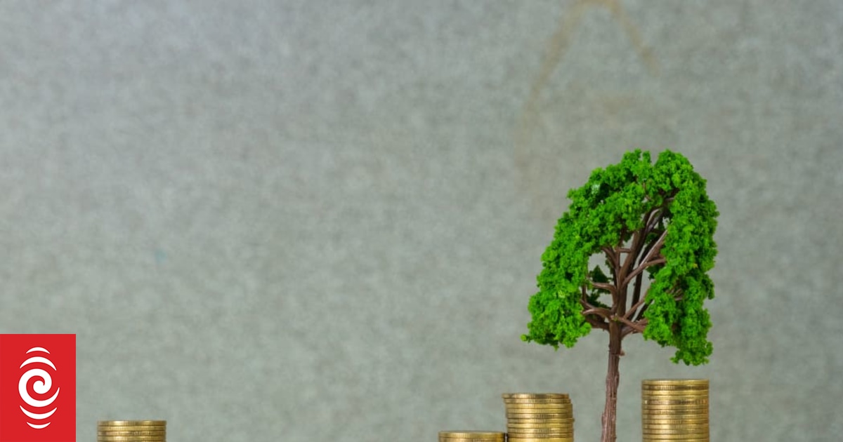 NZ Super Fund on 20 years of investing | RNZ