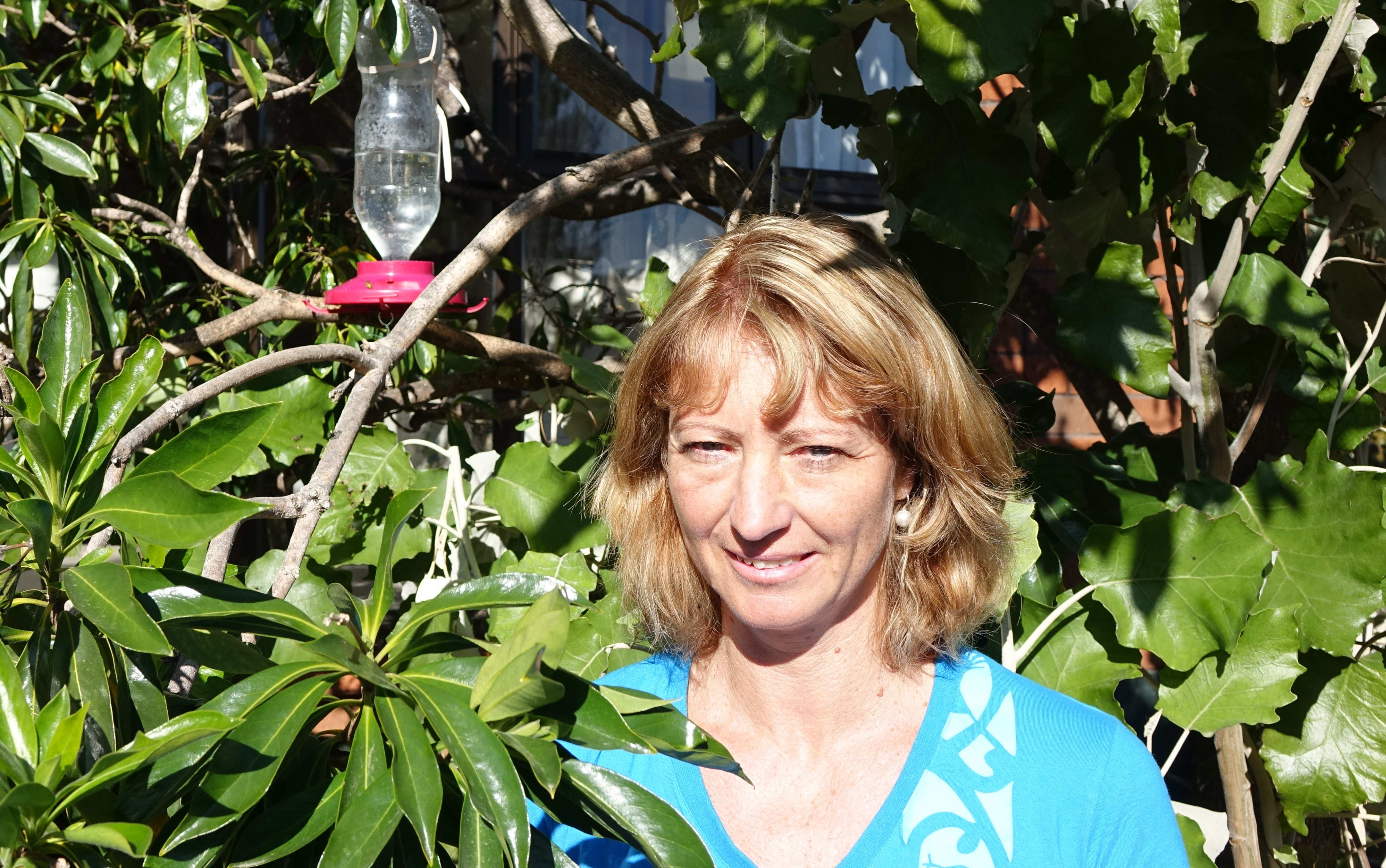 Tui population soars | RNZ News