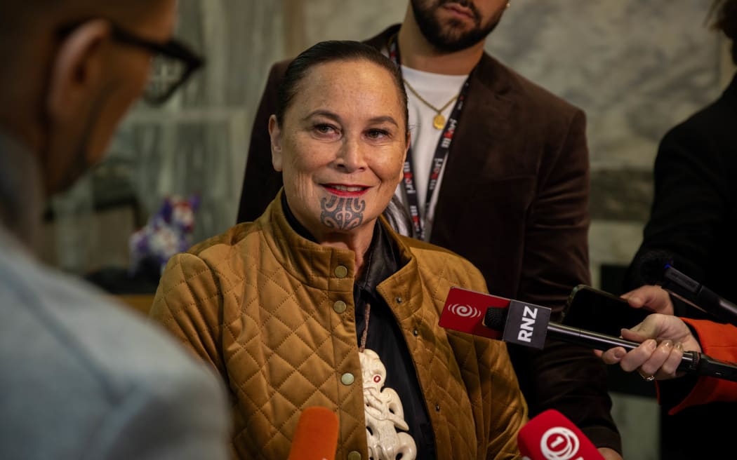 Chris Hipkins questions why only Māori MPs rebuked over haka | RNZ News