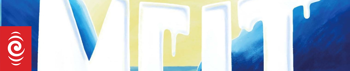 Book review: Melt by Ele Fountain | RNZ