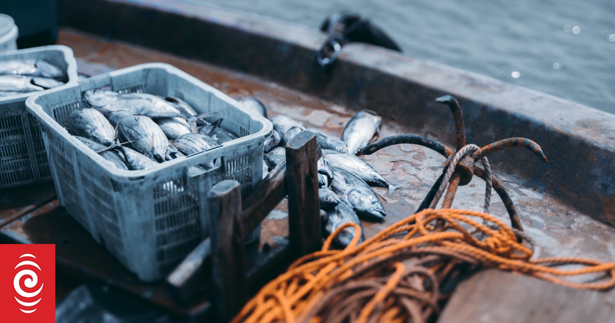 Fishing rule changes welcomed by WWF | RNZ News