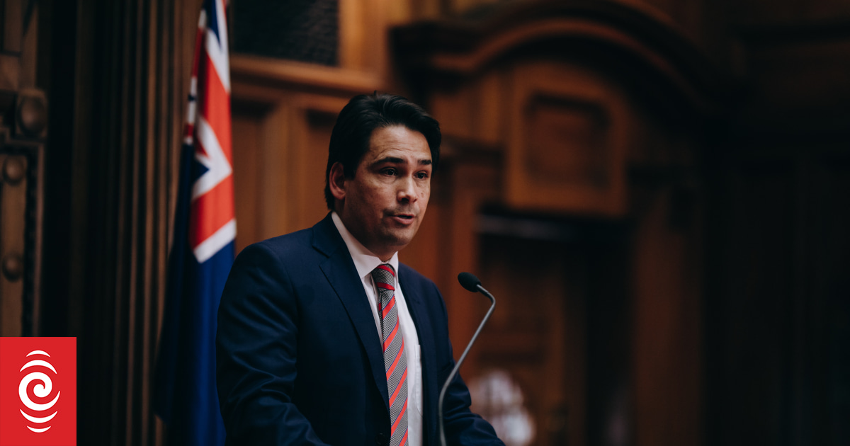 Former National Party president Michelle Boag on leadership challenge | RNZ