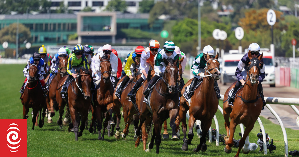 Three New Zealand trained horses line up for Melbourne Cup | RNZ News
