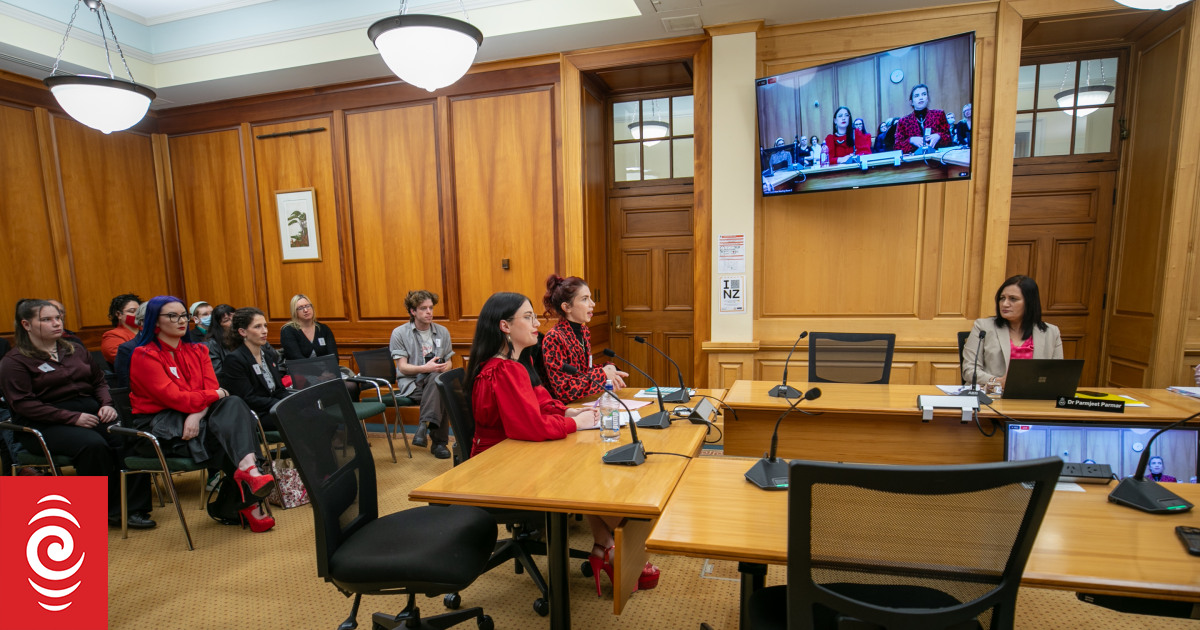 ‘Stripping is not exploitative, theft is’, strippers tell MPs | RNZ News